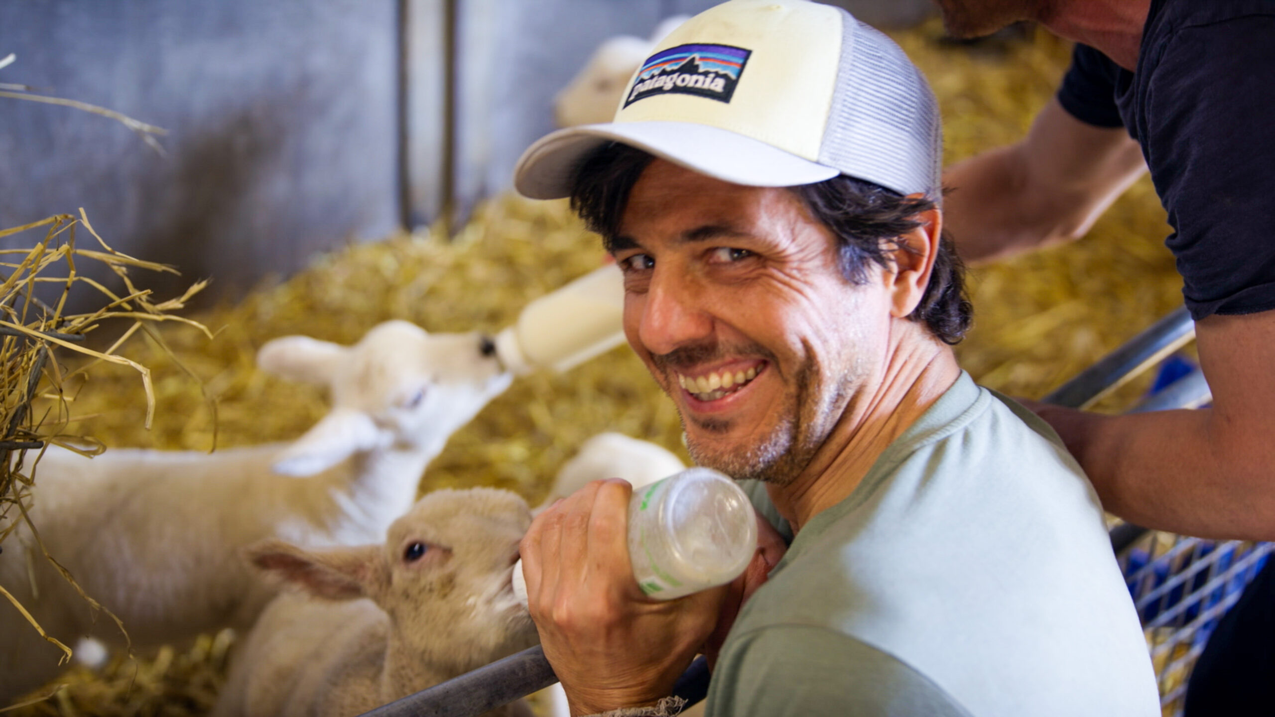 Dieter Coppens had duidelijke boodschap voor Kevin: "doe dat niet ...